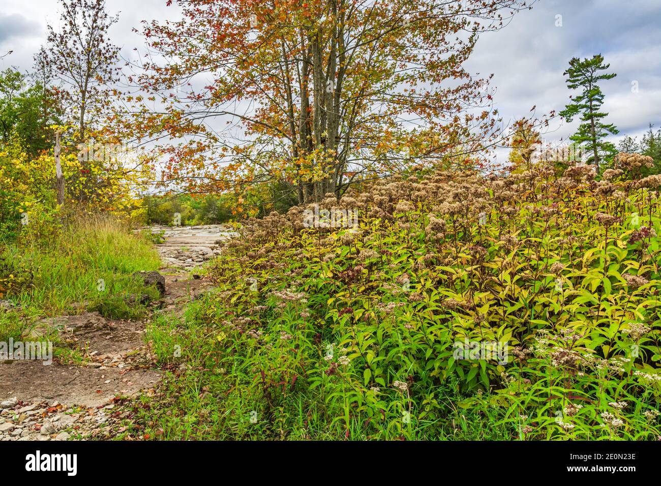 Crowe bridge hi-res stock photography and images - Alamy
