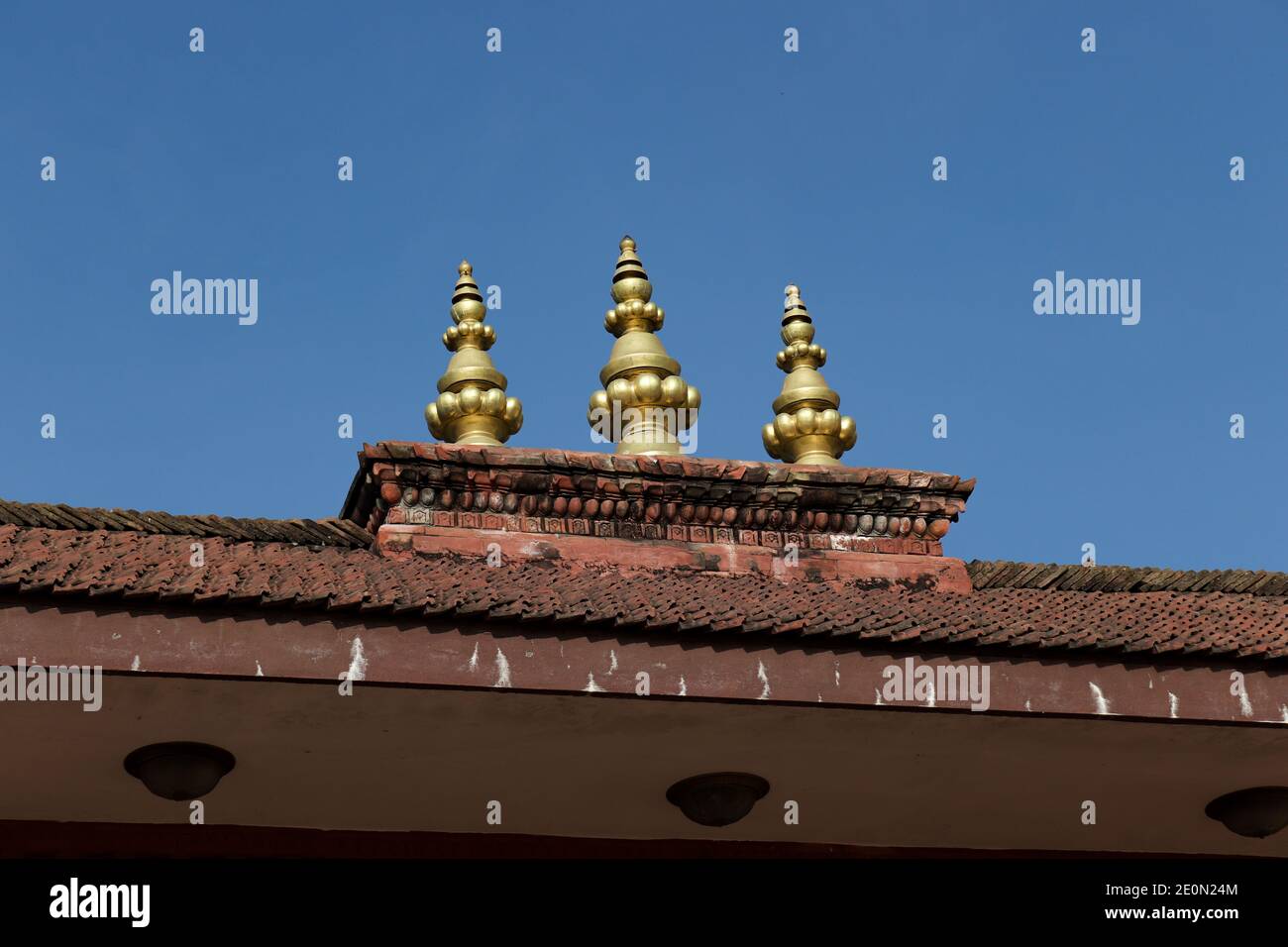 Palpa High Resolution Stock Photography and Images - Alamy