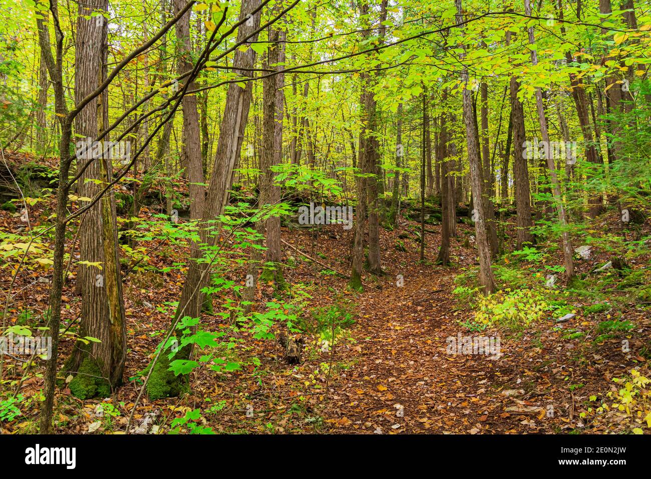 Crowe Bridge Conservation Area Northumberland County Ontario Canada in ...