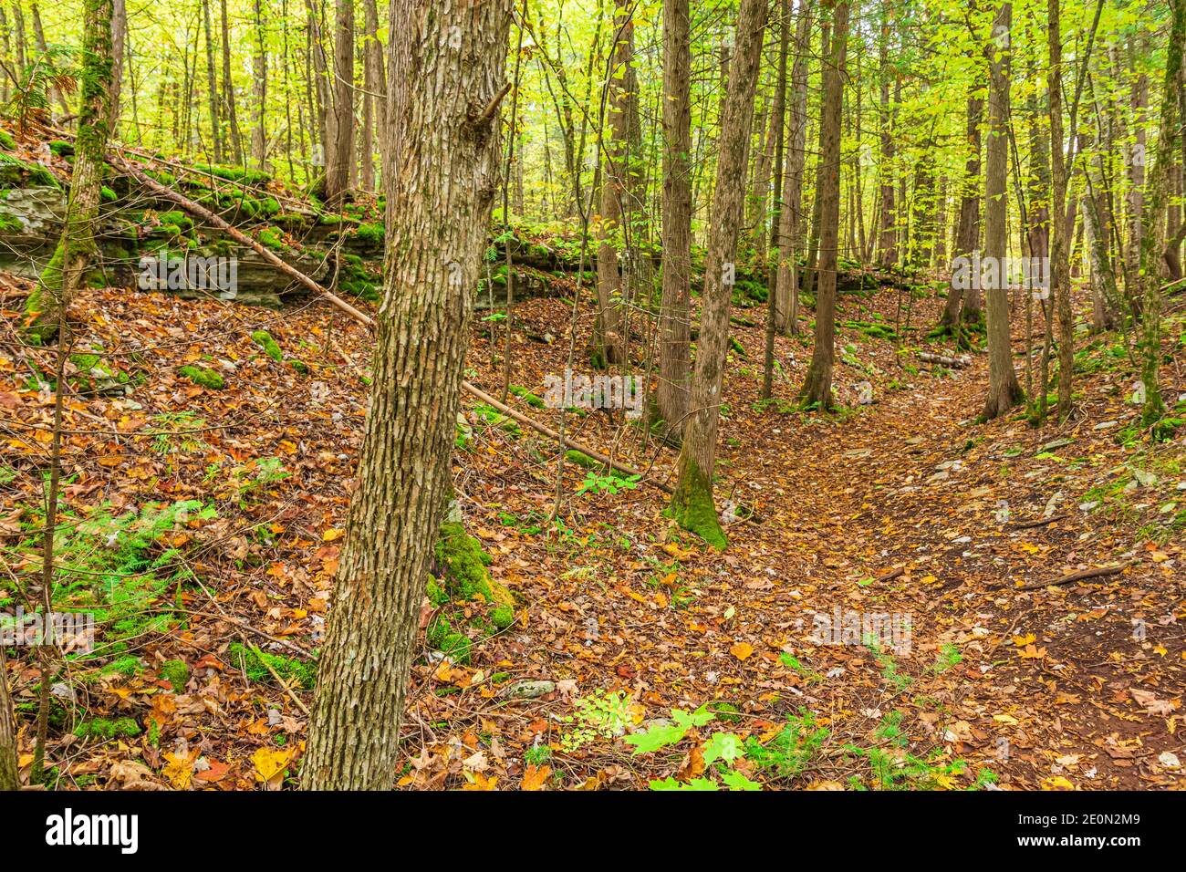 Crowe Bridge Conservation Area Northumberland County Ontario Canada in ...