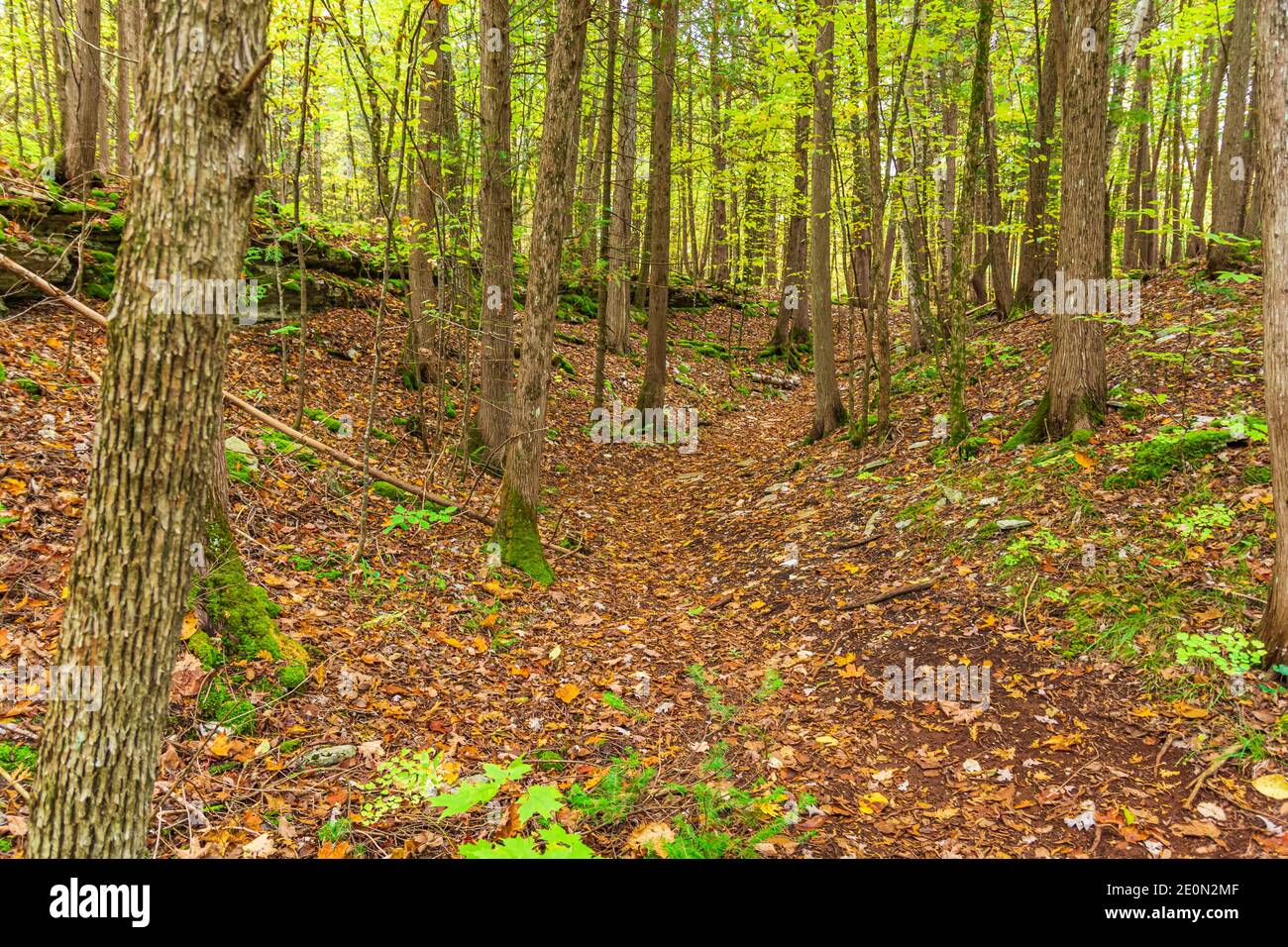 Crowe Bridge Conservation Area Northumberland County Ontario Canada in ...