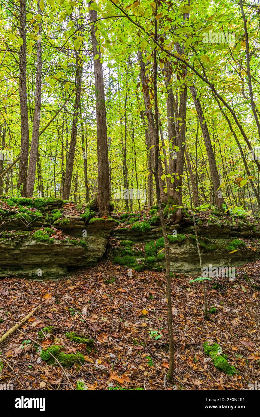 Crowe Bridge Conservation Area Northumberland County Ontario Canada in ...