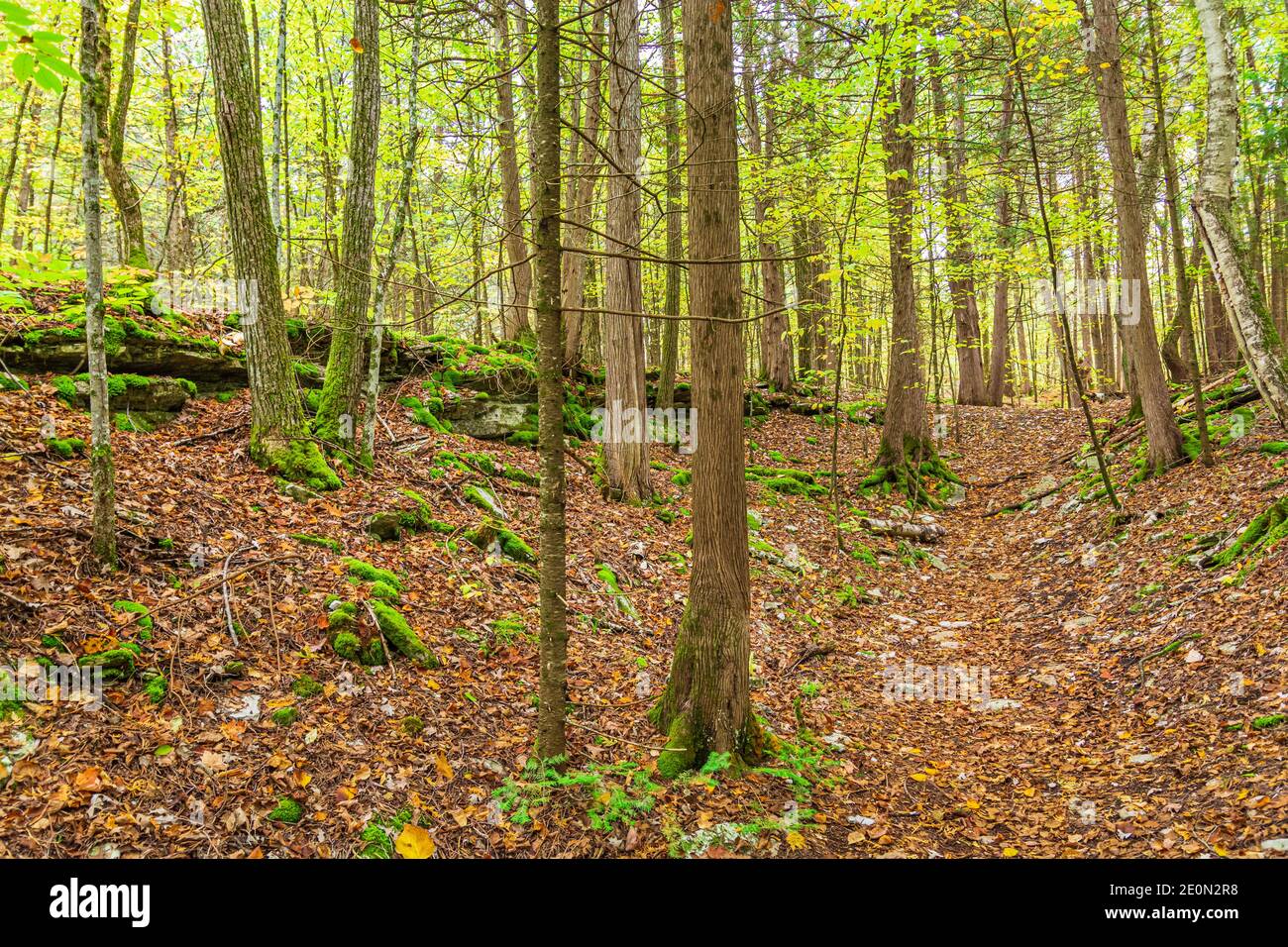 Crowe Bridge Conservation Area Northumberland County Ontario Canada in ...