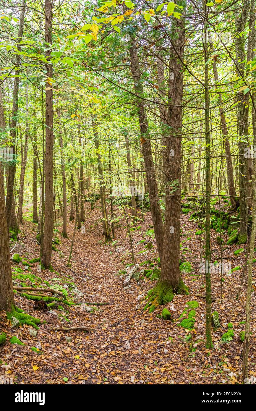 Crowe Bridge Conservation Area Northumberland County Ontario Canada in ...