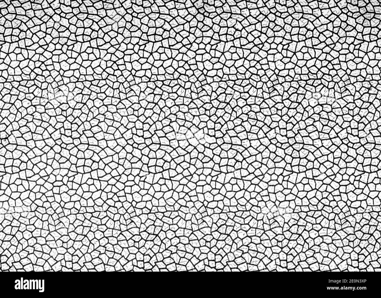 the endpaper on a vintage book creates a striking textured background ...