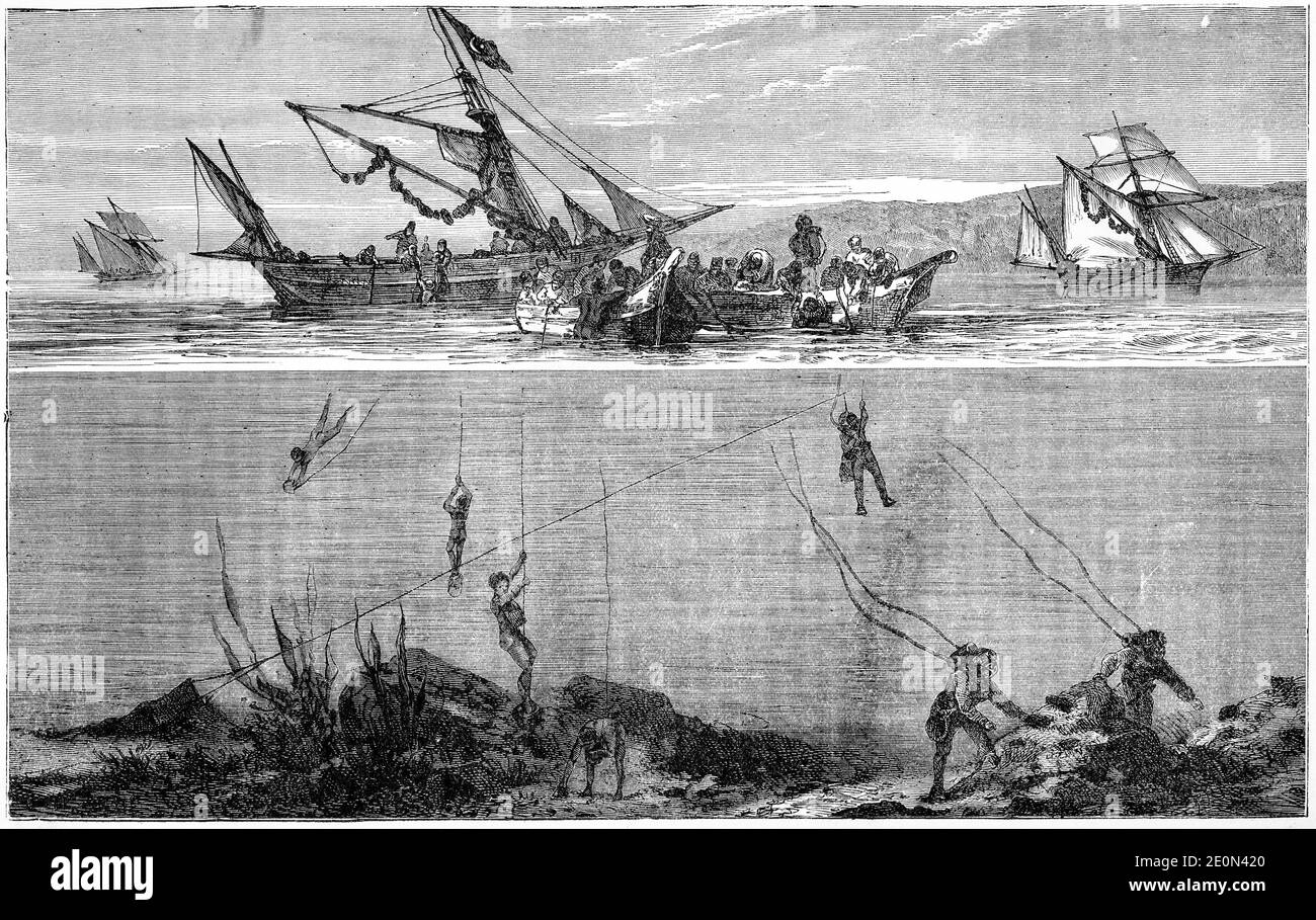 Engraving of pearl divers at work collecting oyster shells off the sea ...
