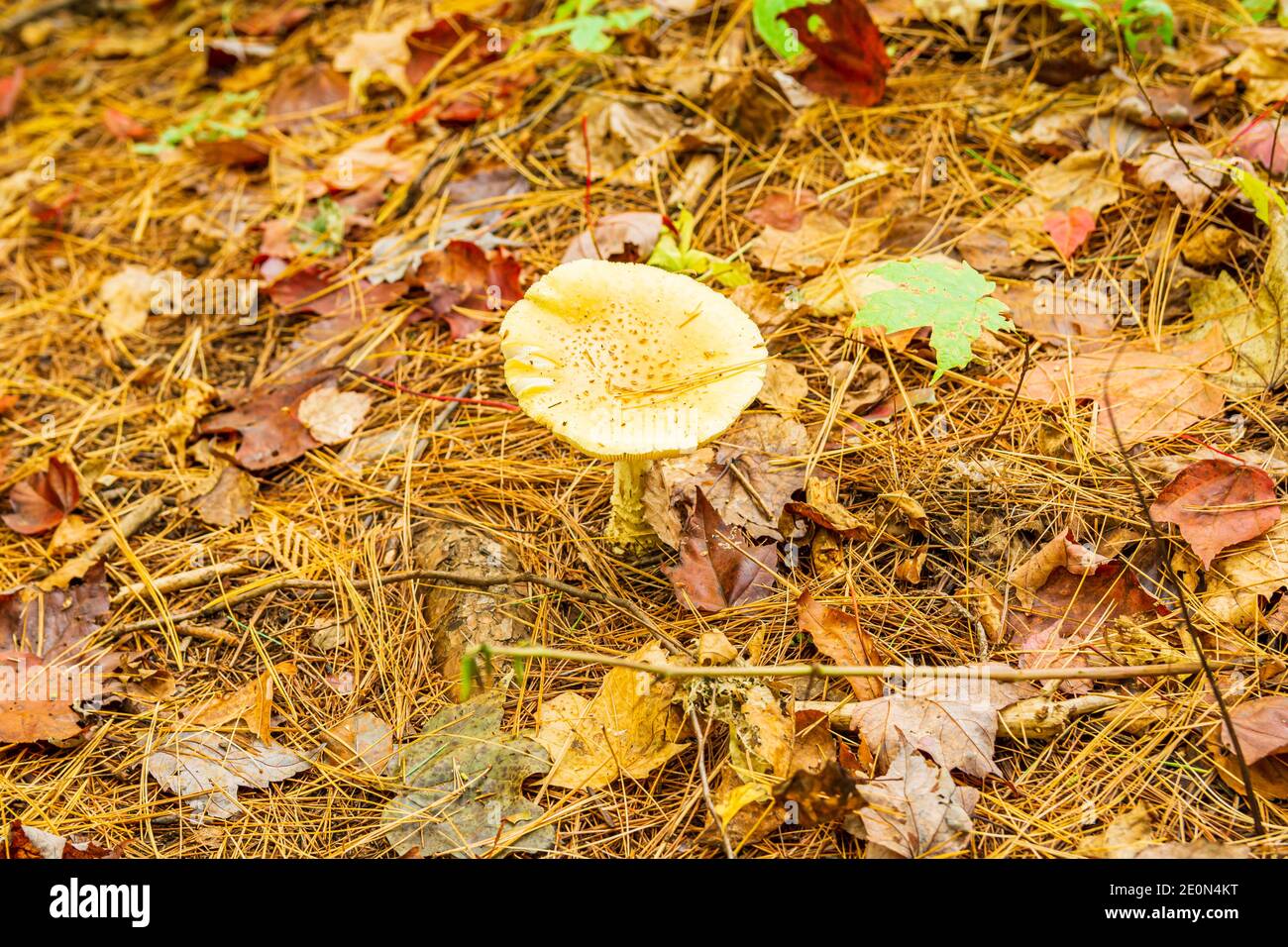 Lennox falls hi-res stock photography and images - Alamy