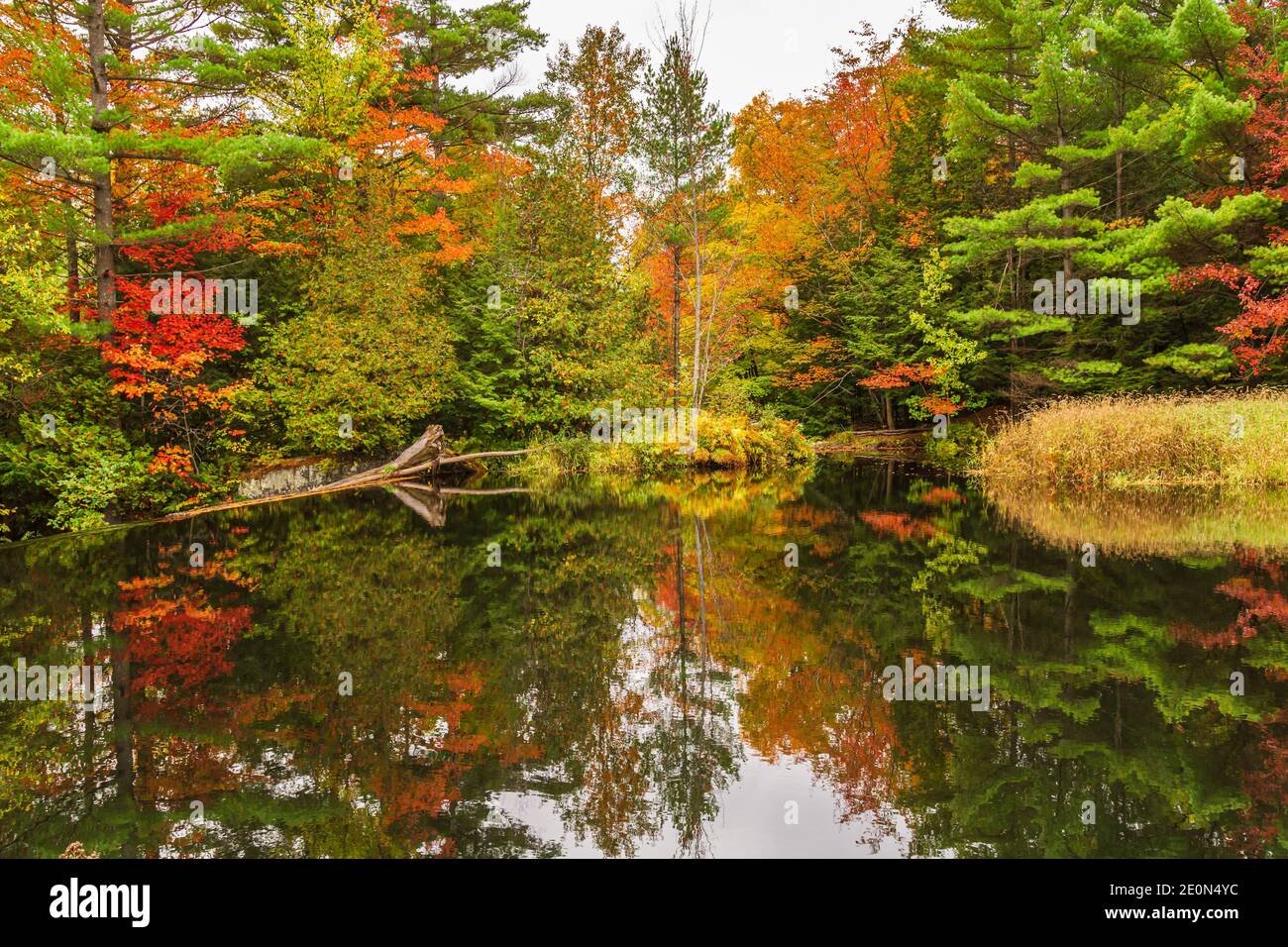 Flinton ontario hi-res stock photography and images - Alamy