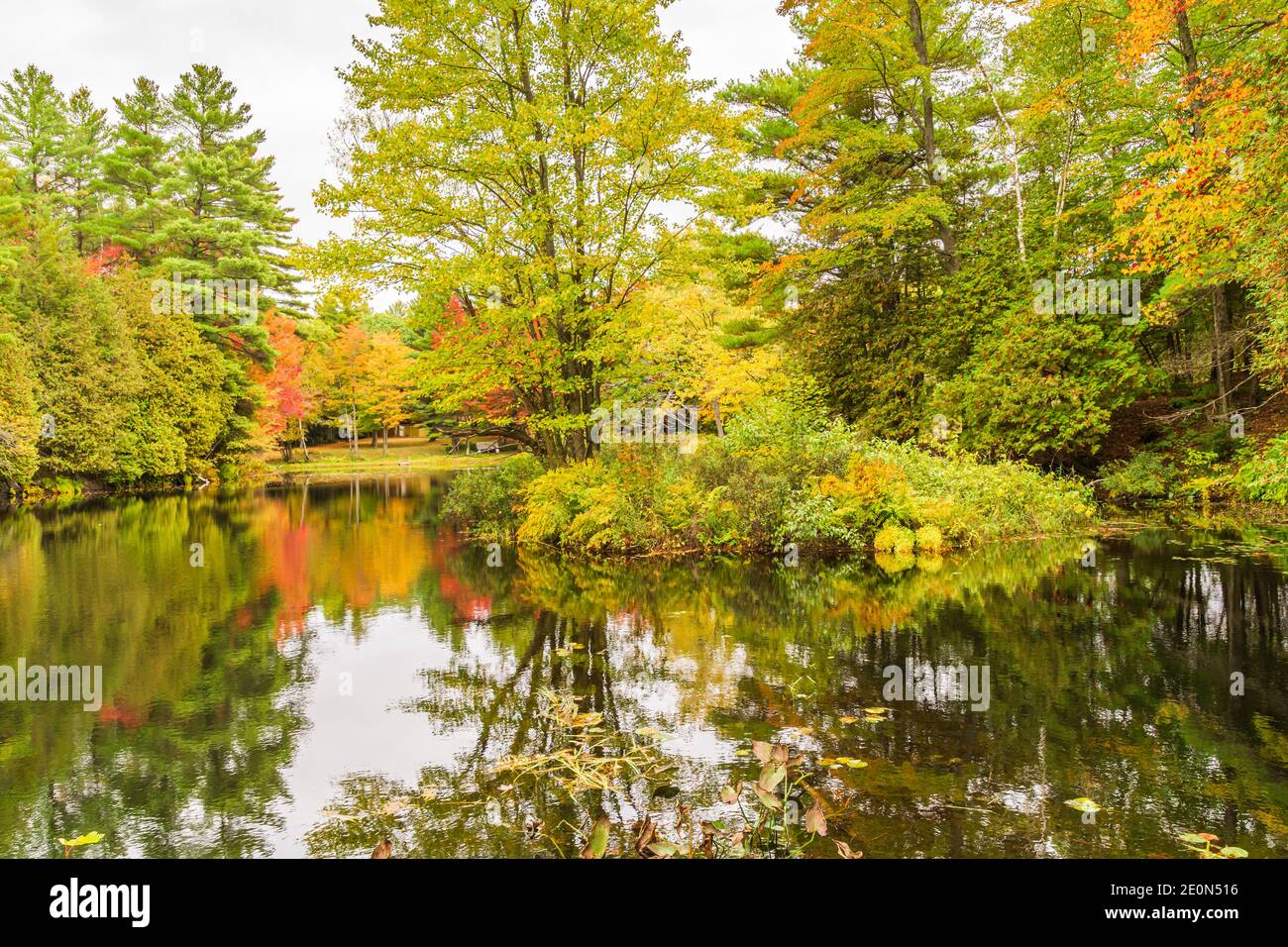 Flinton Falls Conservation Area Lennox Addington County Flinton Ontario ...