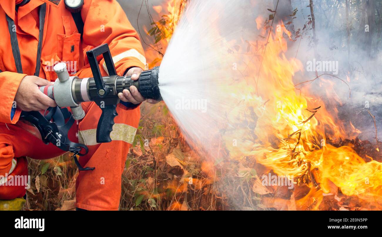 Battle of the wilderness hi-res stock photography and images - Alamy