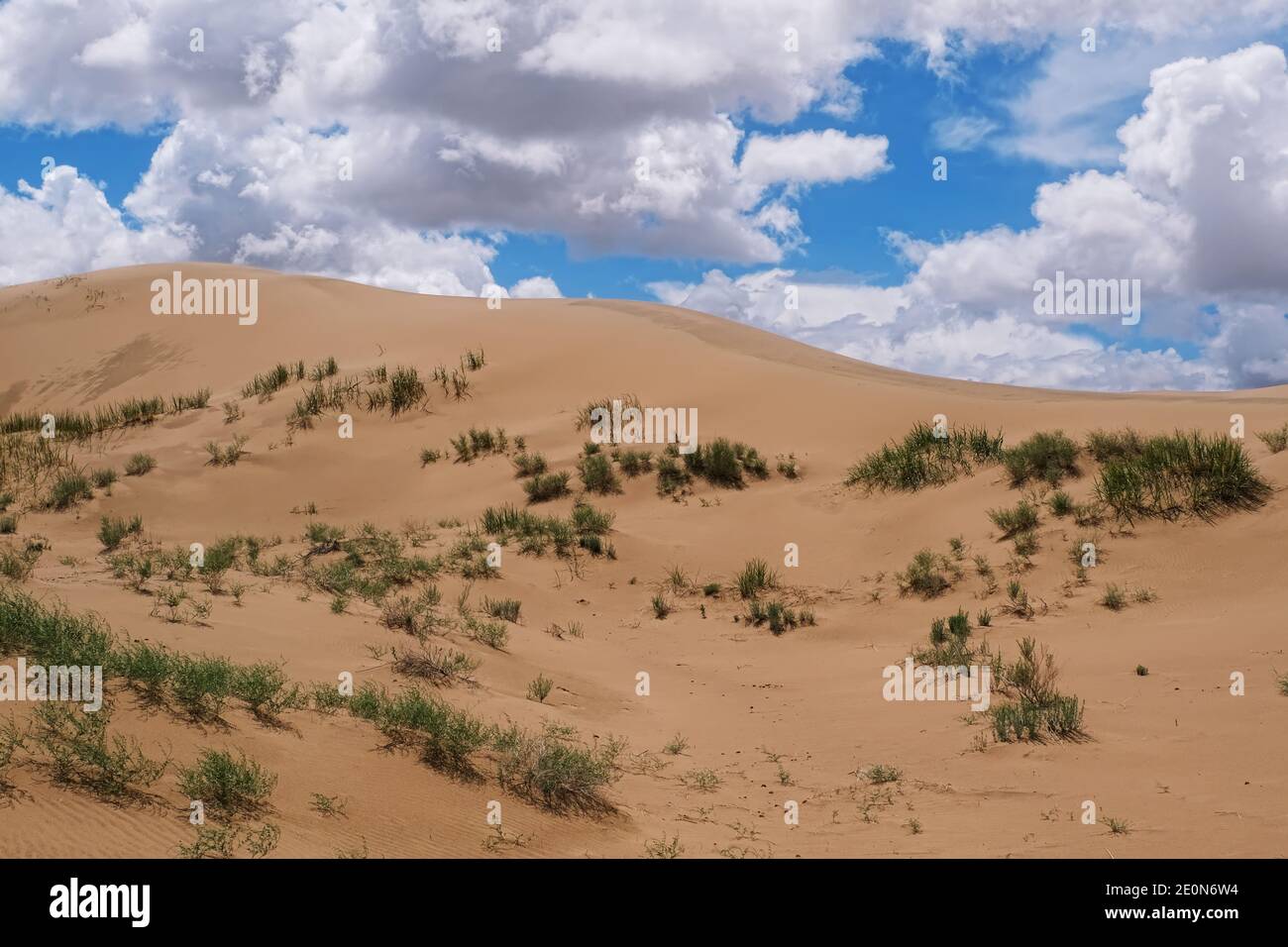 Barkhans in Mongolia. Sandy dune desert Mongol Els near lake Durgen ...