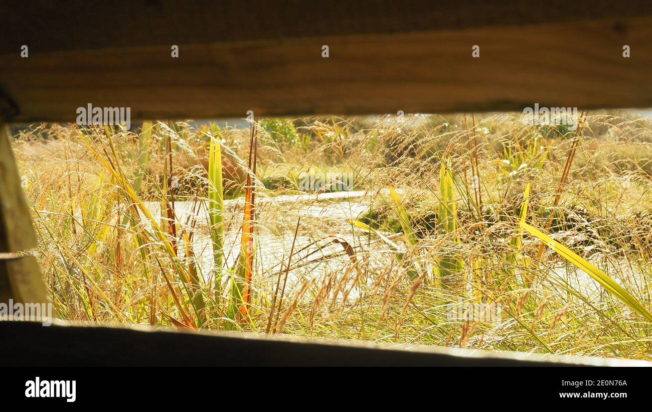 The view through a narrow window of a bird hide at the Pauatahanui ...
