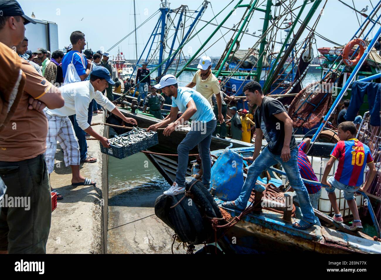 Trawler unloading fish hi-res stock photography and images - Alamy