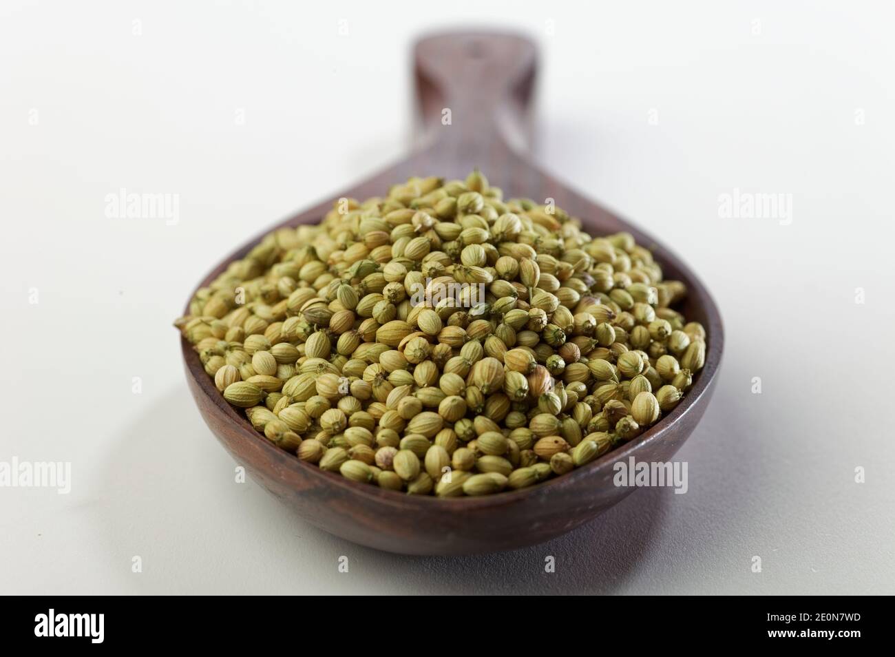 Indian spices-Coriander seeds Stock Photo - Alamy
