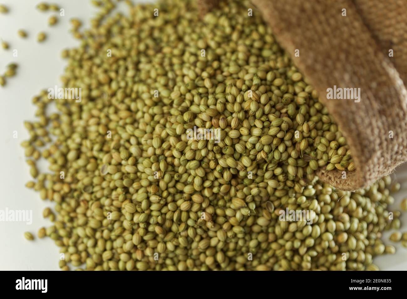 Indian spices-Coriander seeds Stock Photo - Alamy