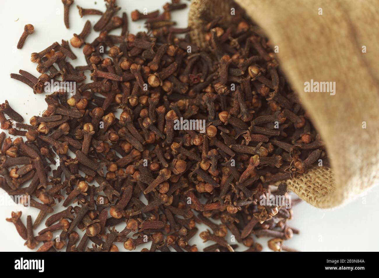 Studio shot of Indian spices-Clove Stock Photo - Alamy