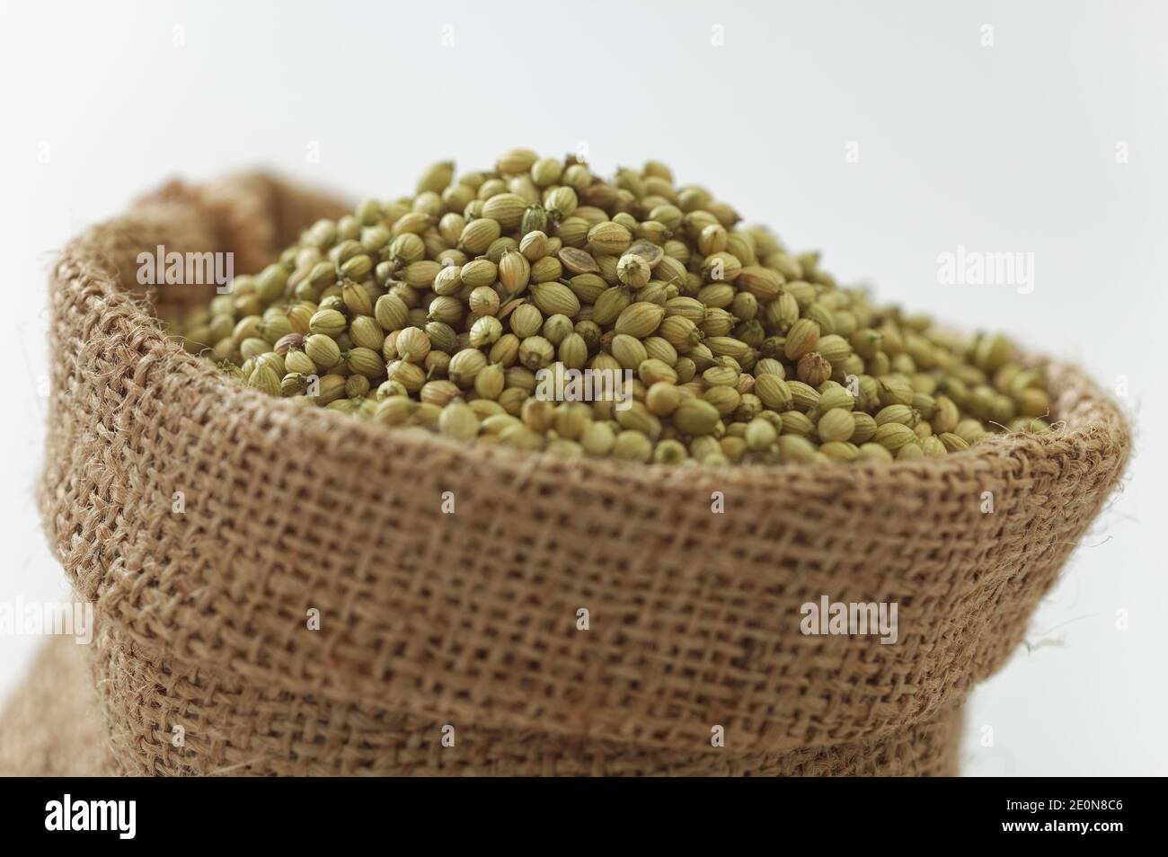 Indian spices-Coriander seeds Stock Photo - Alamy