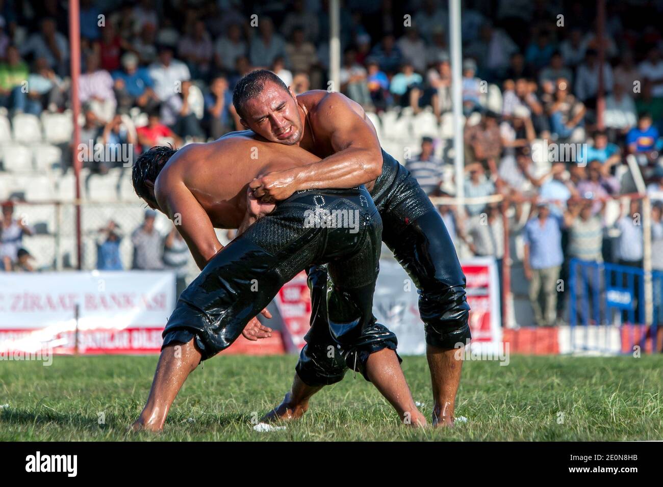 Heavyweight wrestling hi-res stock photography and images - Alamy