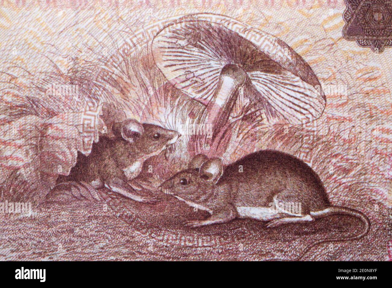 Mice from Chinese money Stock Photo - Alamy