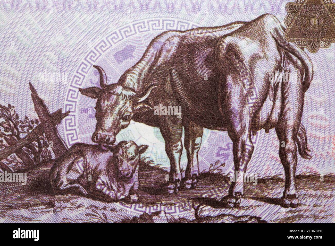 Money cow hi-res stock photography and images - Alamy
