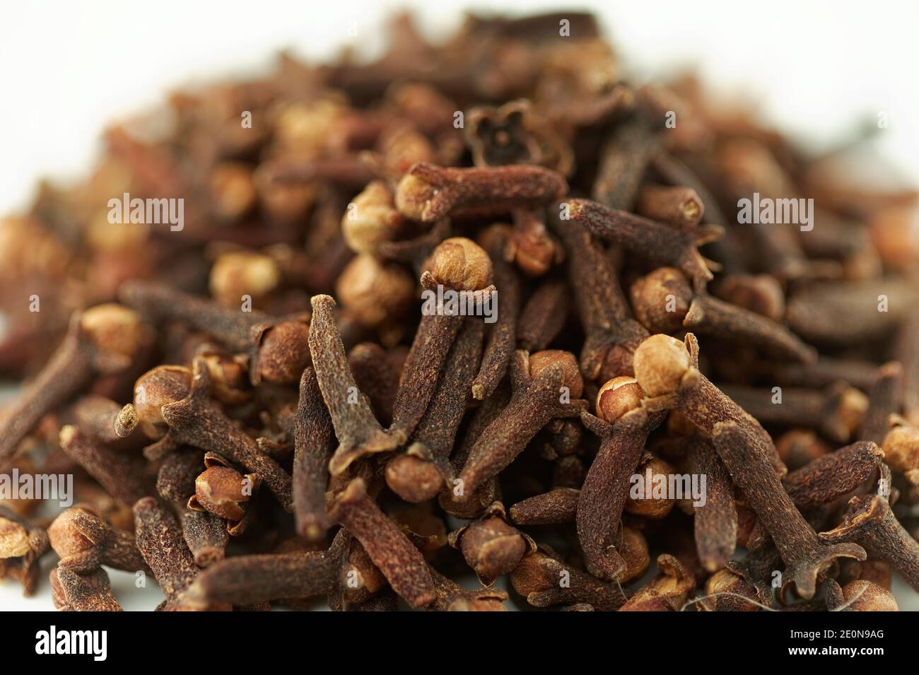 Studio shot of Indian spices-Clove Stock Photo - Alamy