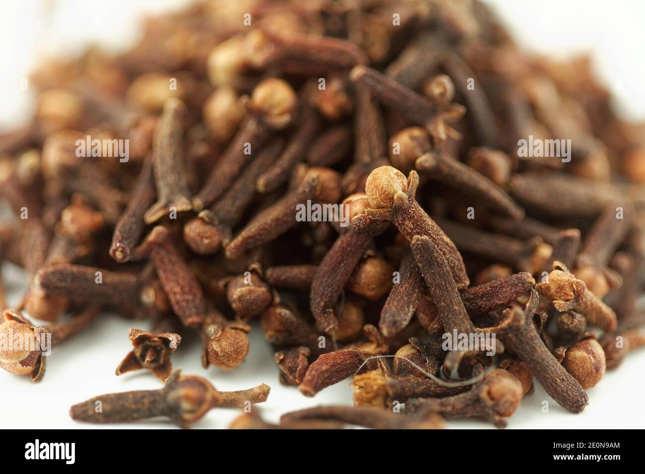 Studio shot of Indian spices-Clove Stock Photo - Alamy