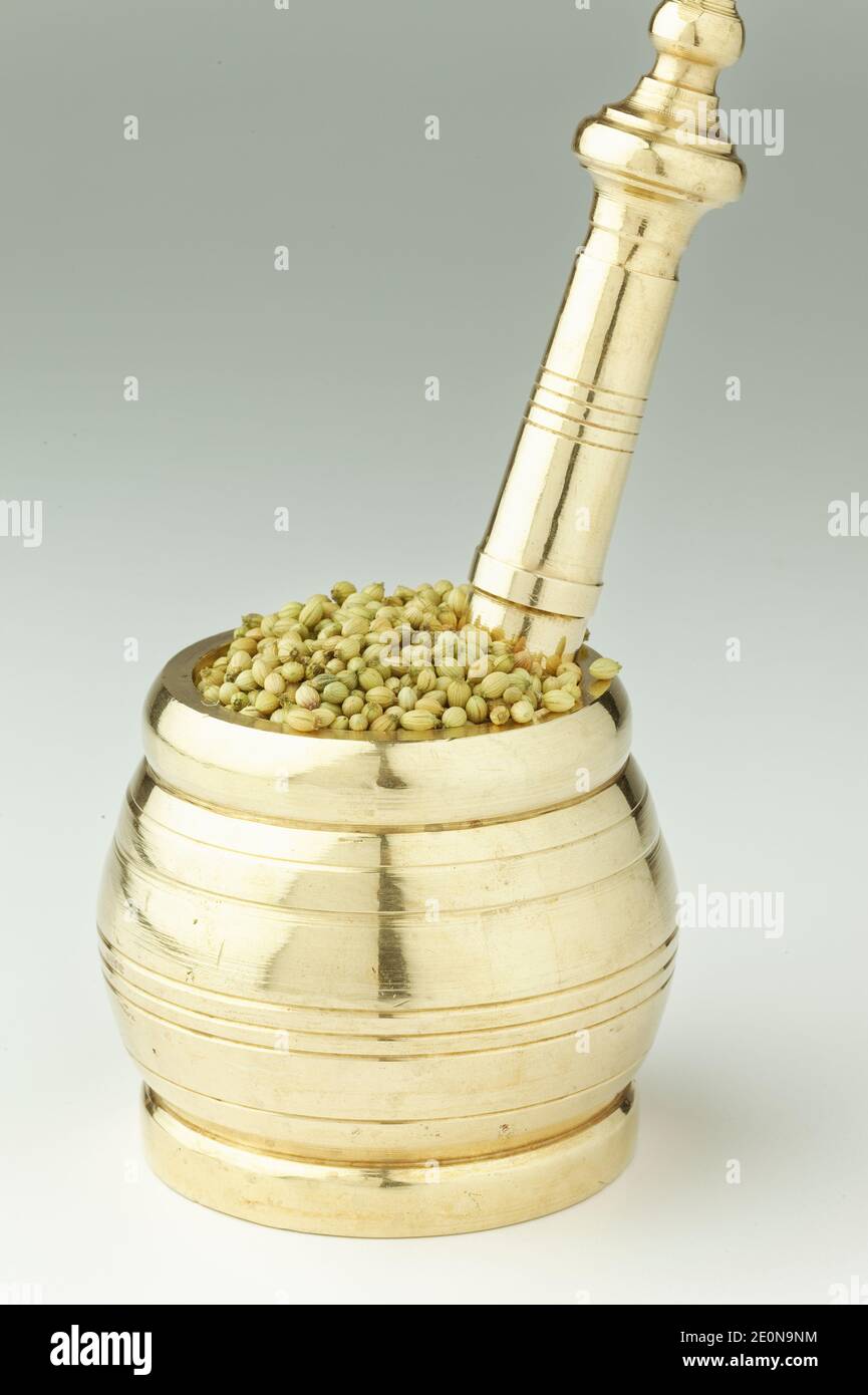 Indian spices-Coriander seeds Stock Photo - Alamy