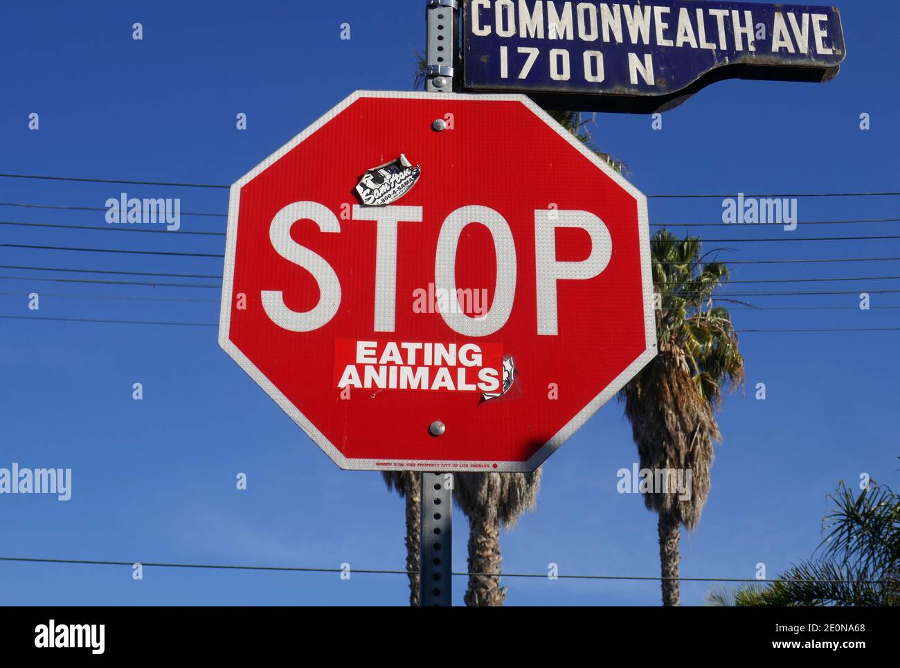 Los Angeles, California, USA 1st January 2021 A general view of ...