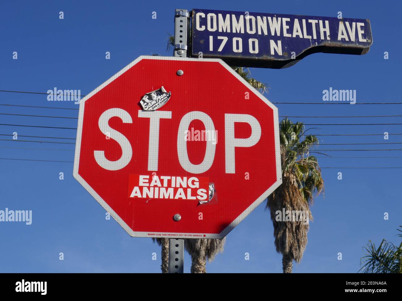 Los Angeles, California, USA 1st January 2021 A general view of ...