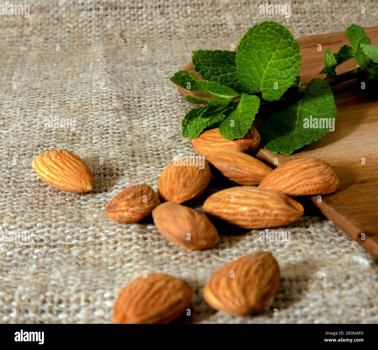 Peeled almonds and a small bunch of fresh mint lying on a sack cloth ...