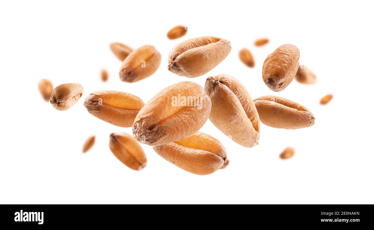 Wheat grains falling hi-res stock photography and images - Alamy