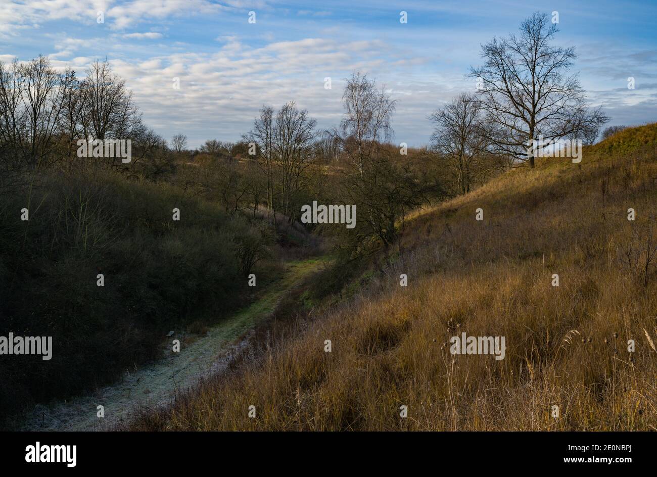 Podelzig, Germany. 31st Dec, 2020. View into the Priest Gorge. The ...