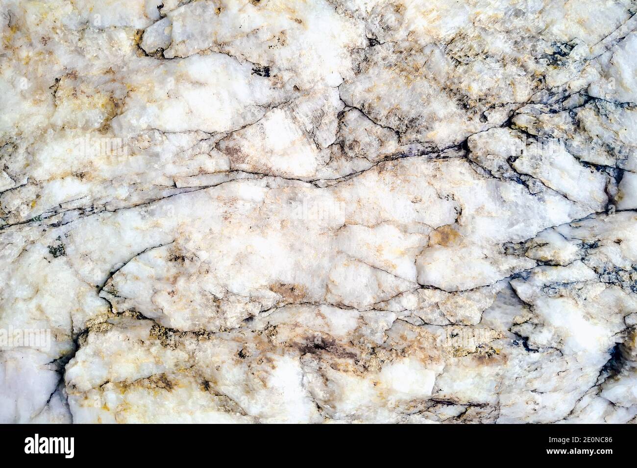 Raw white stone with black and brown veined. Top view and close-up ...