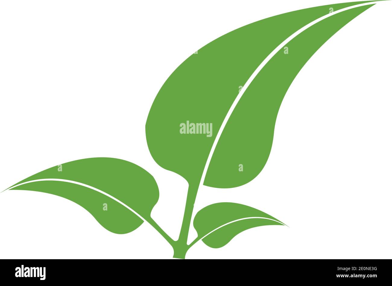 Logos of green Tree leaf ecology nature element vector Stock Vector ...