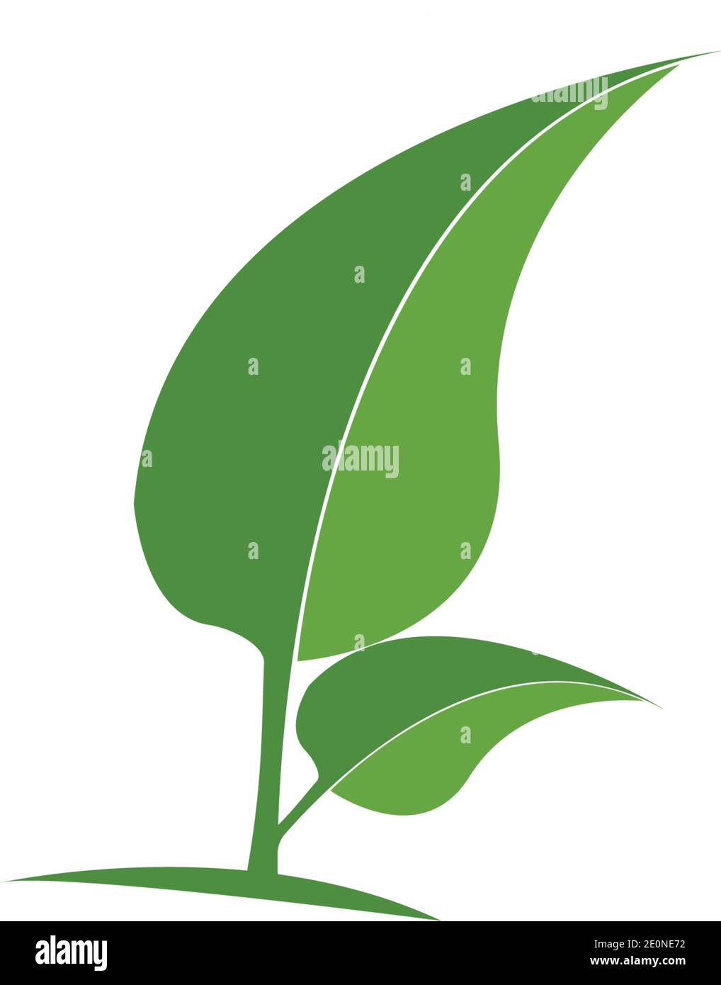 Logos of green Tree leaf ecology nature element vector Stock Vector ...