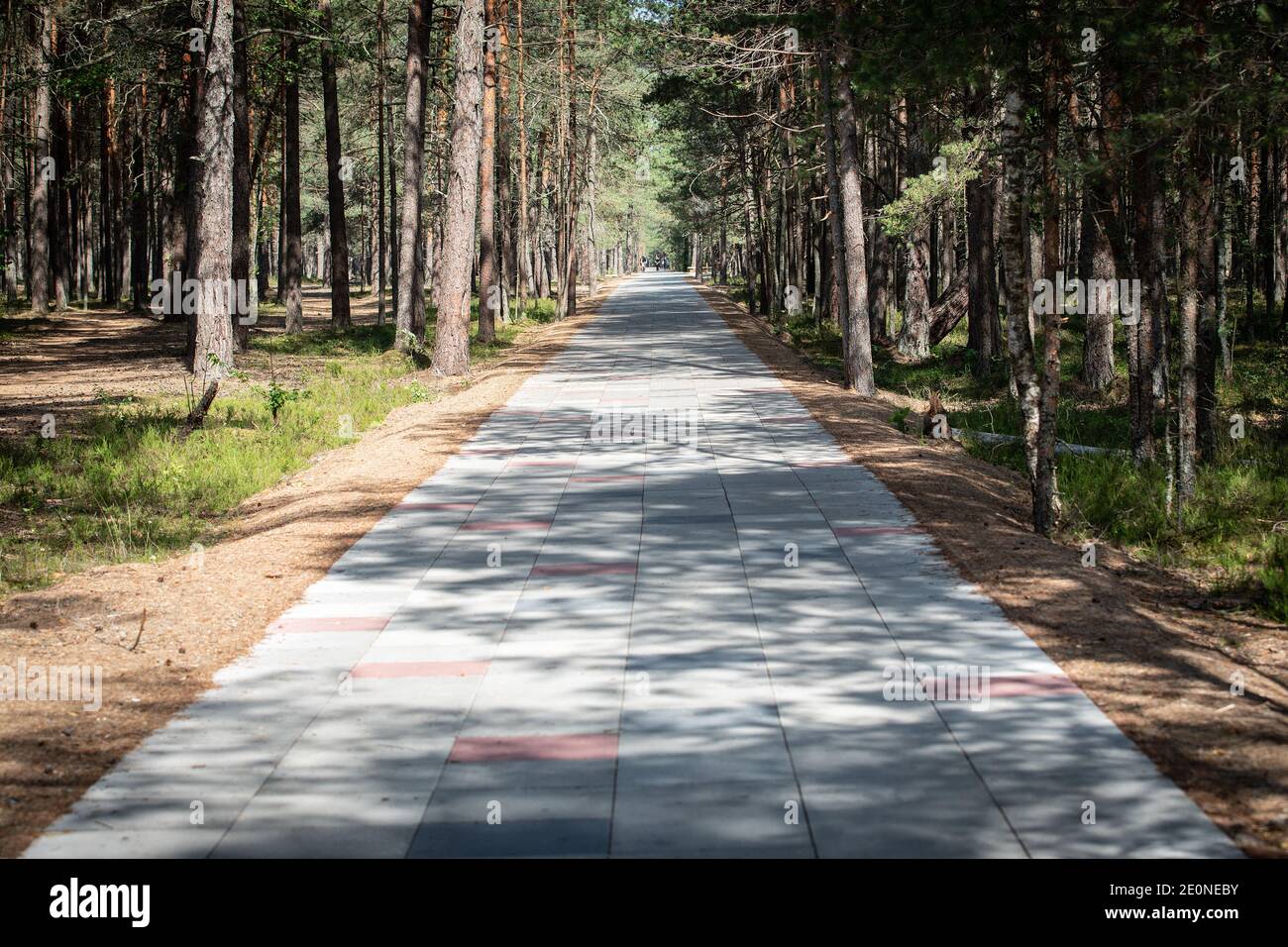 Nature trail. Paved walkway in the woods. Park and active recreation ...