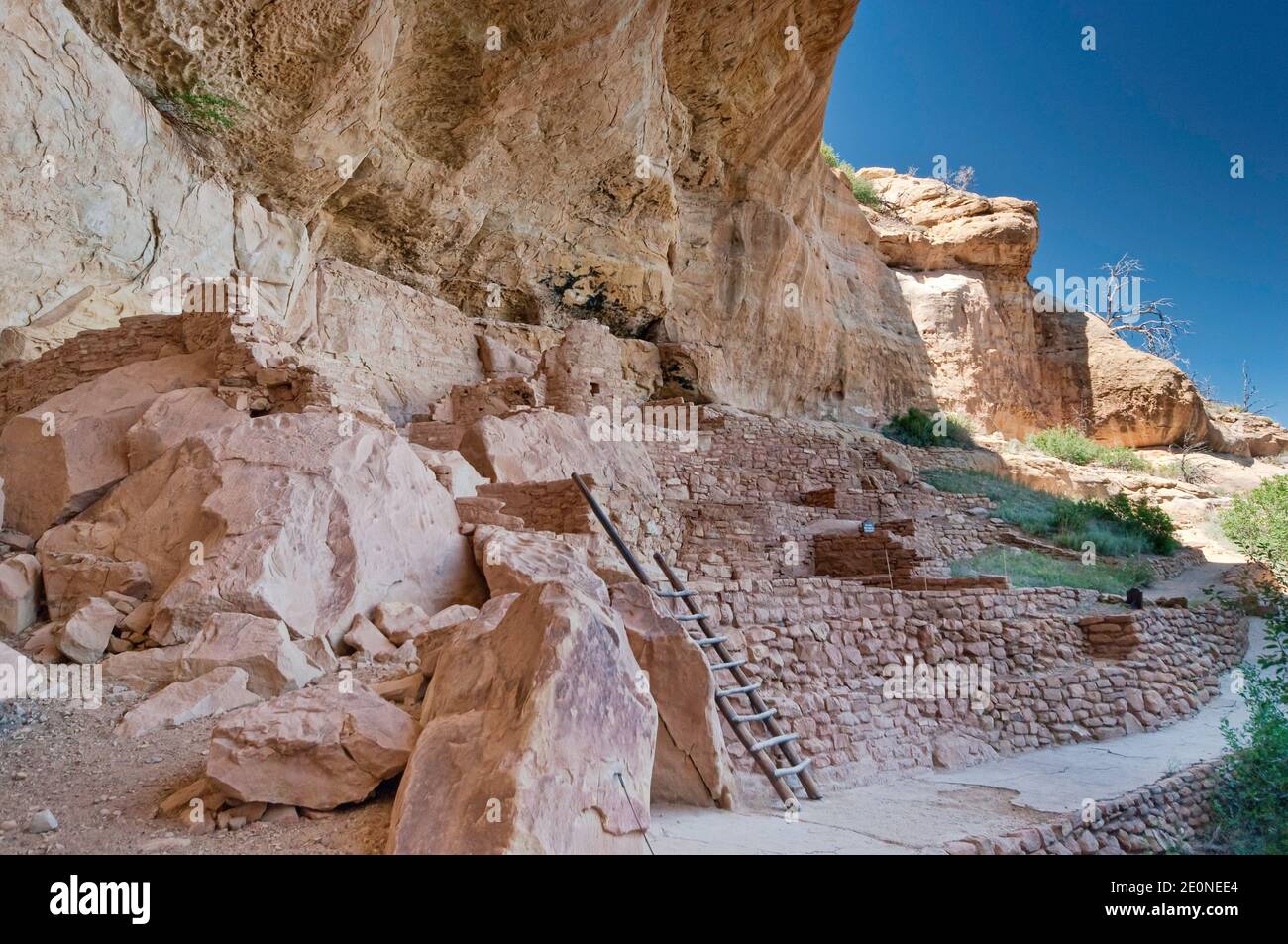 Step House cliff dwelling in alcove at Wetherill Mesa in Mesa Verde ...