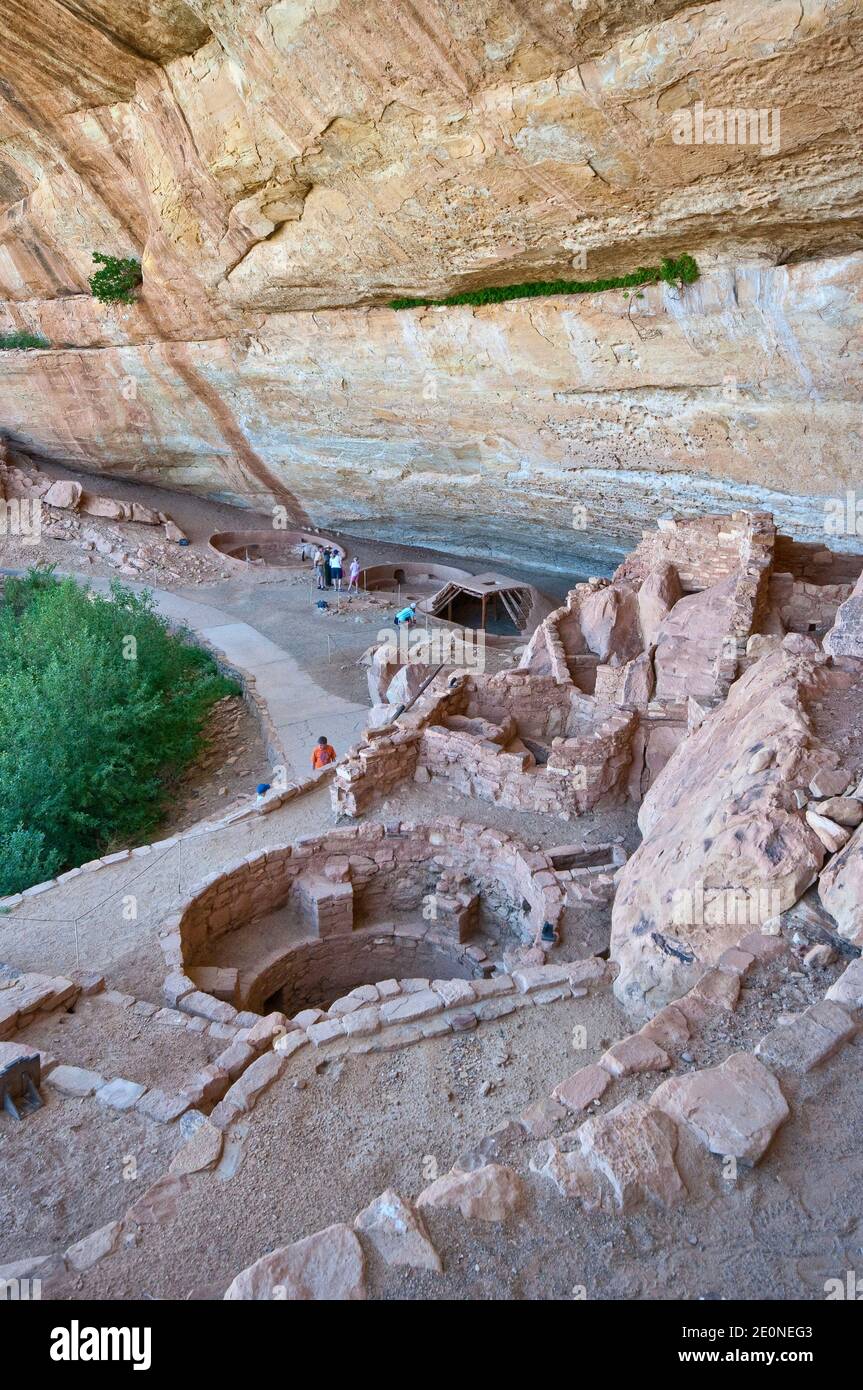 Step House cliff dwelling in alcove at Wetherill Mesa in Mesa Verde ...