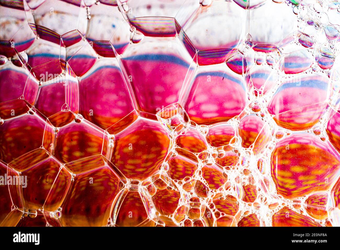 Bubble form structure hi-res stock photography and images - Alamy