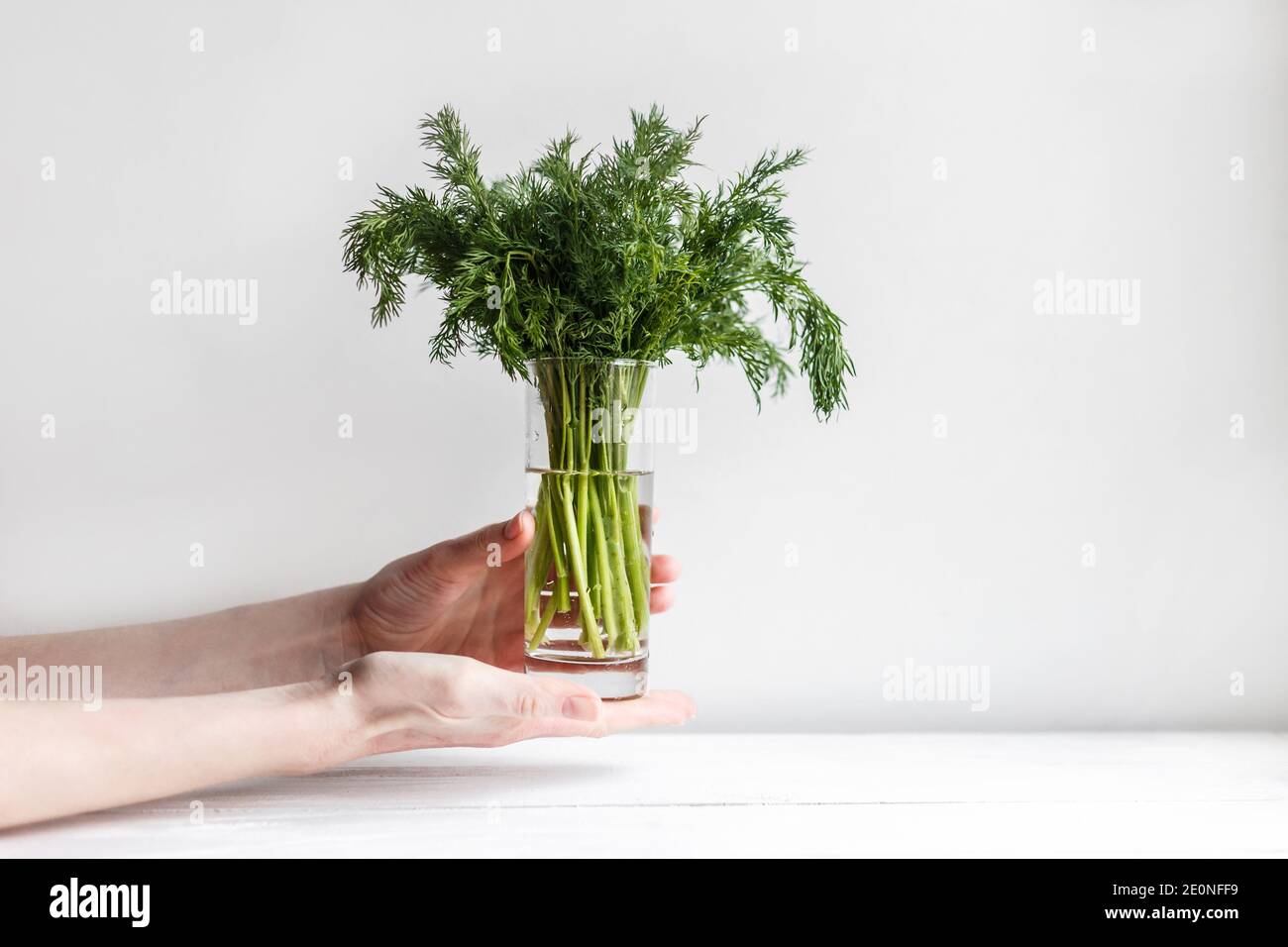 Female hands keeps fresh fennel in a glass with water Stock Photo - Alamy