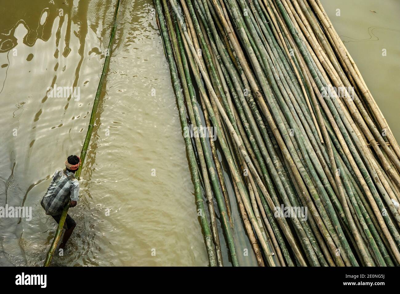 Pulling a log hi-res stock photography and images - Alamy