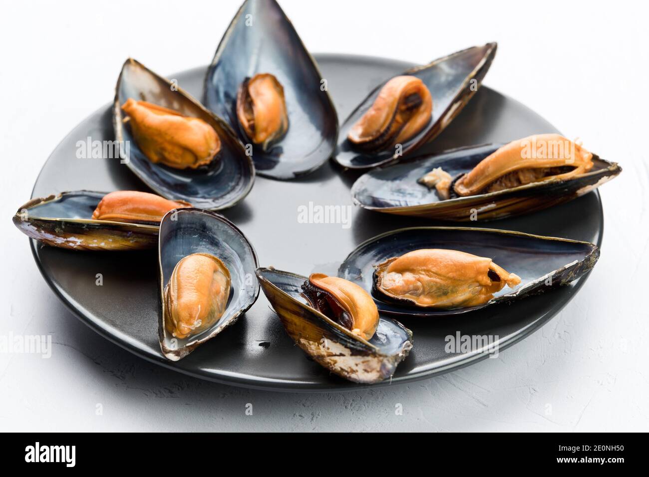Filter Feeding Shellfish