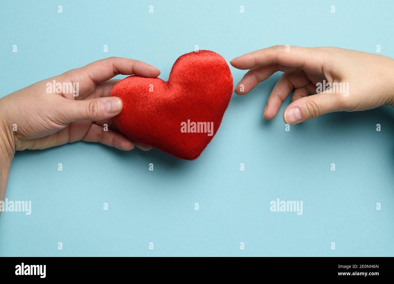Heart Of Palm High Resolution Stock Photography and Images - Alamy