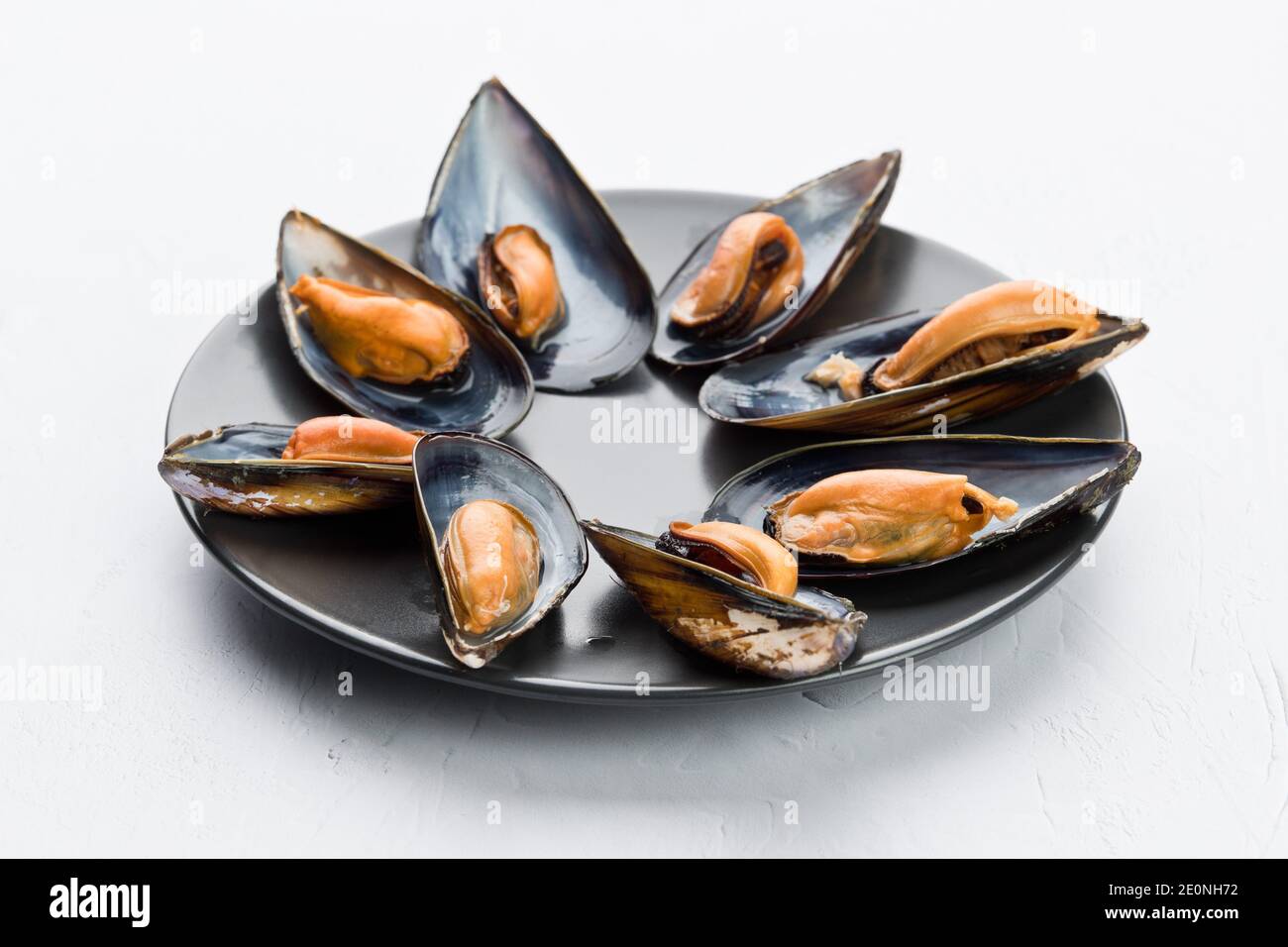 Bivalve Mollusks High Resolution Stock Photography and Images - Alamy