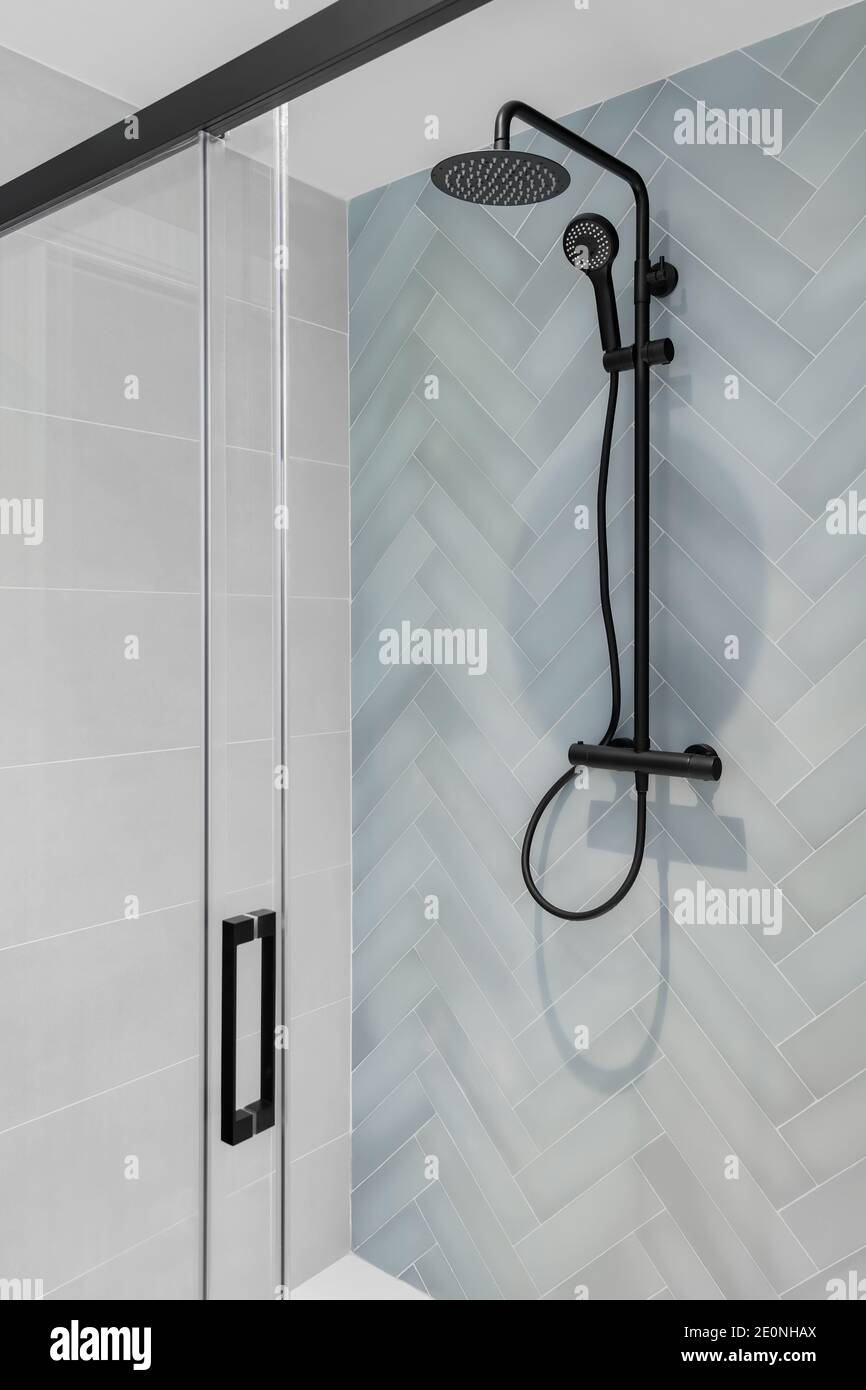 Modern shower zone with rain head, hand held shower and glass door ...