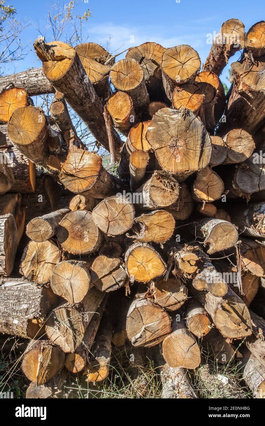 Log building material hi-res stock photography and images - Alamy