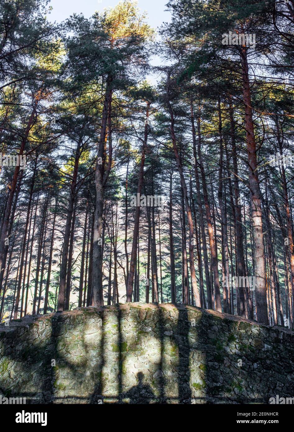 Well built structure hi-res stock photography and images - Alamy