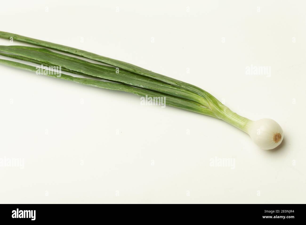 Spring onion shot in studio on white background Stock Photo - Alamy