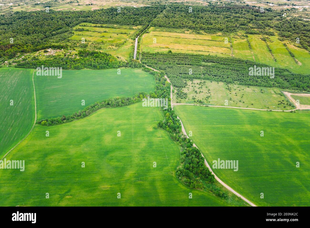 Field windbreaks hi-res stock photography and images - Alamy