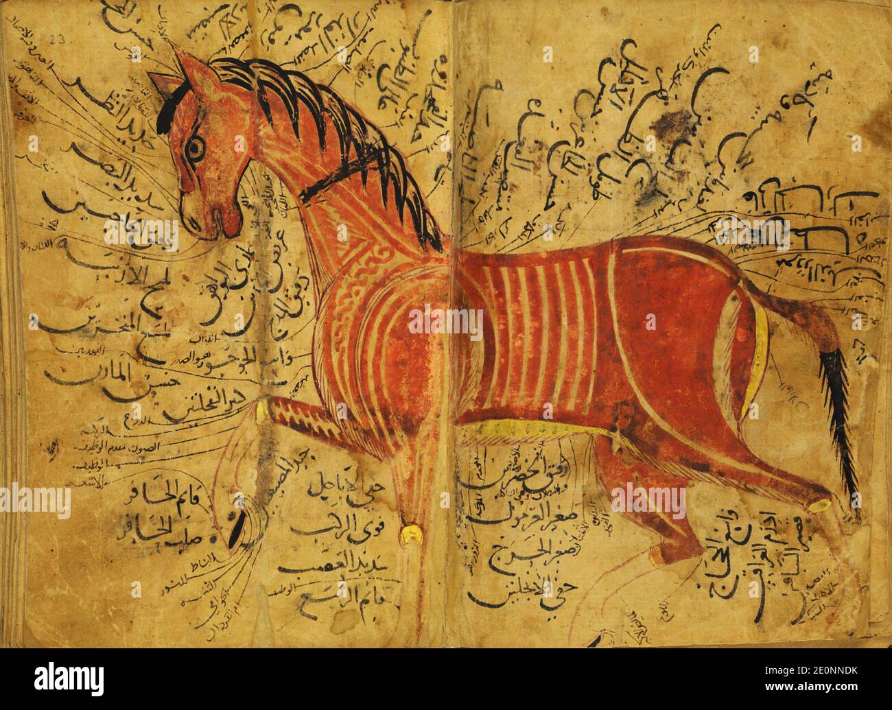 Paper script hi-res stock photography and images - Alamy